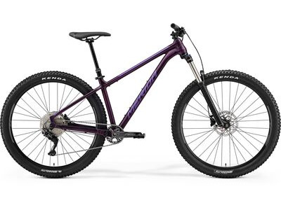 Mountain Bikes :: Mountain Bikes :: Williams Cycles